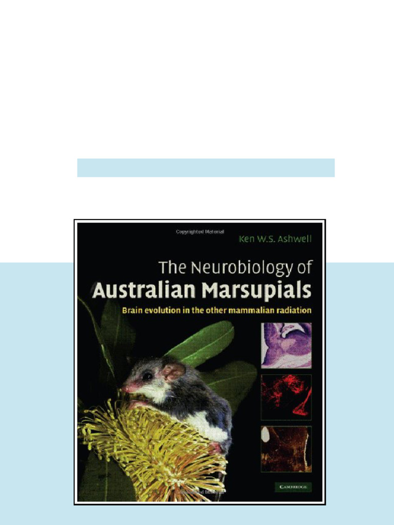 (Ebook) The Neurobiology of Australian Marsupials: Brain Evolution in ...