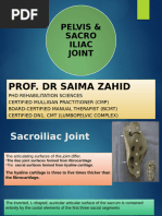 SIJ Stability: Form and Force Closure | PDF | Pelvis | Vertebral Column