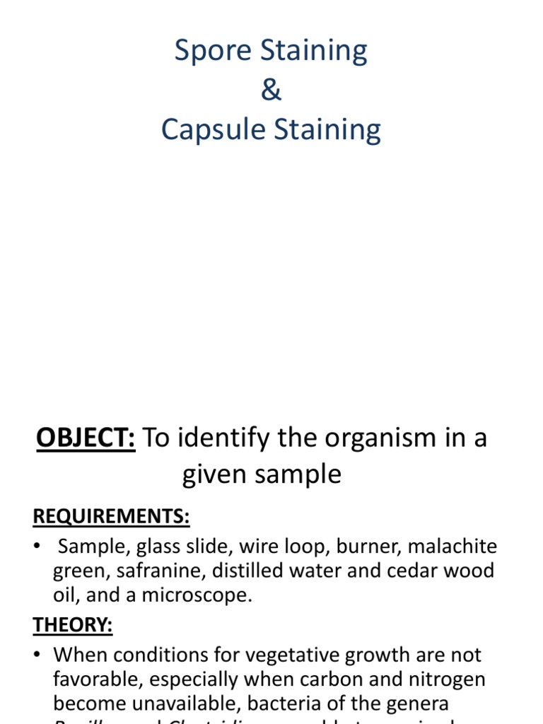 Spore Staining+ Capsule | PDF | Bacteria | Prokaryote