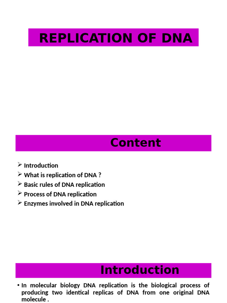 Dna Replication | PDF | Dna Replication | Dna