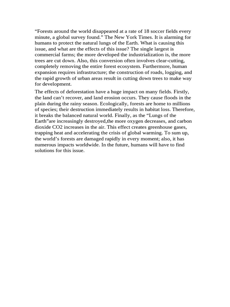 Essay 1 | PDF