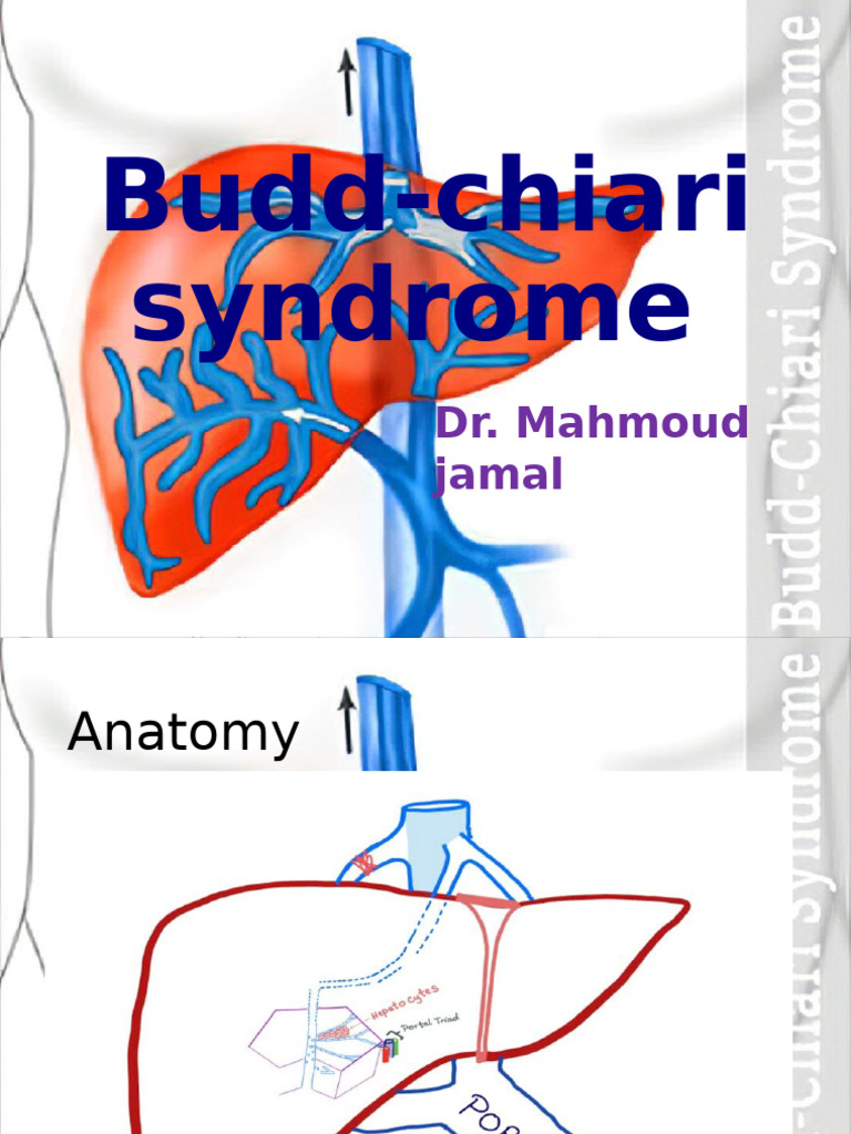 Budd-Chiari Syn-WPS Office | PDF | Vein | Liver