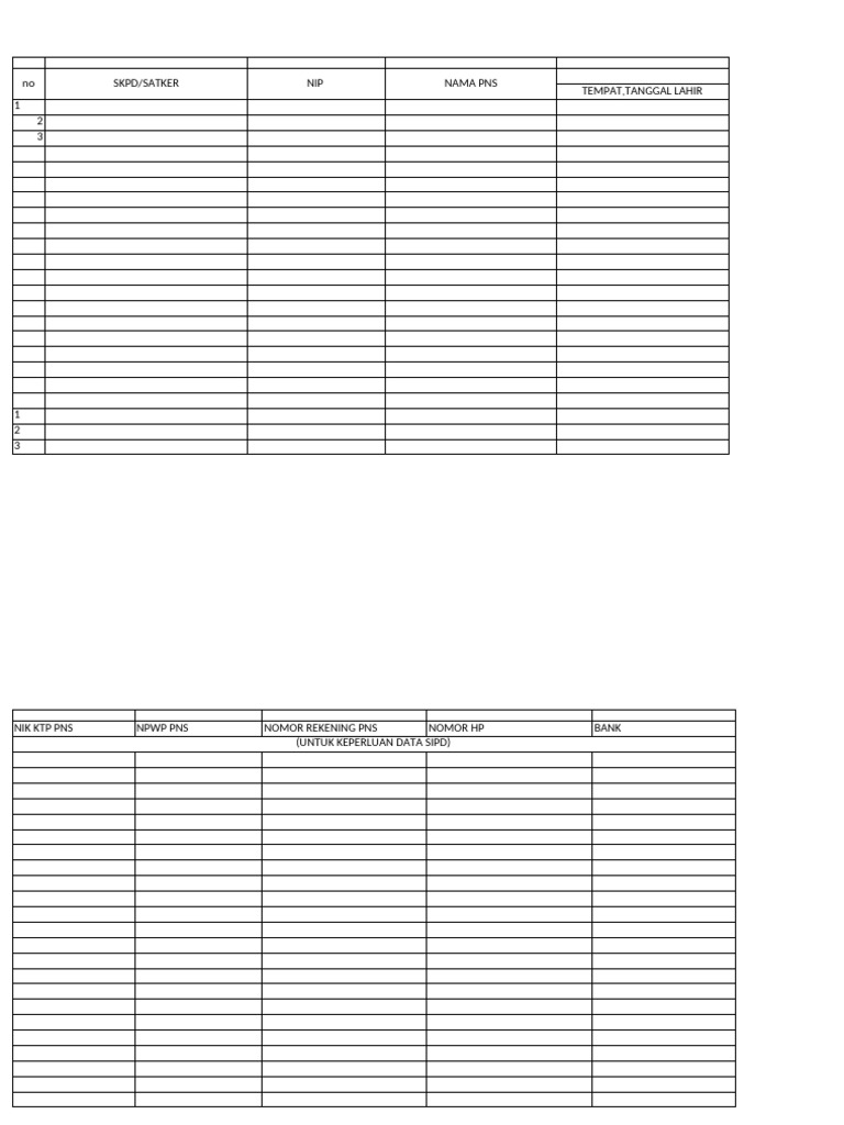 Format Pengisian Data Asn Dan p3k | PDF