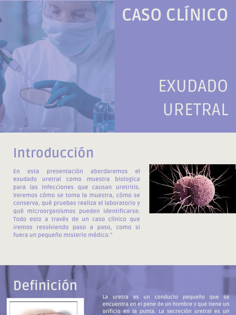 Exudado Uretral en Uretritis: Caso Clínico | PDF | Infección ...