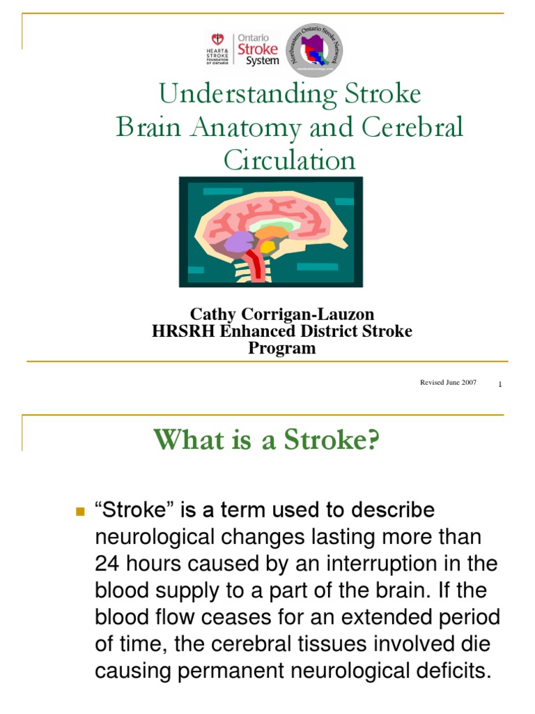 Stroke and Brain Circulation Guide | PDF | Stroke | Ischemia