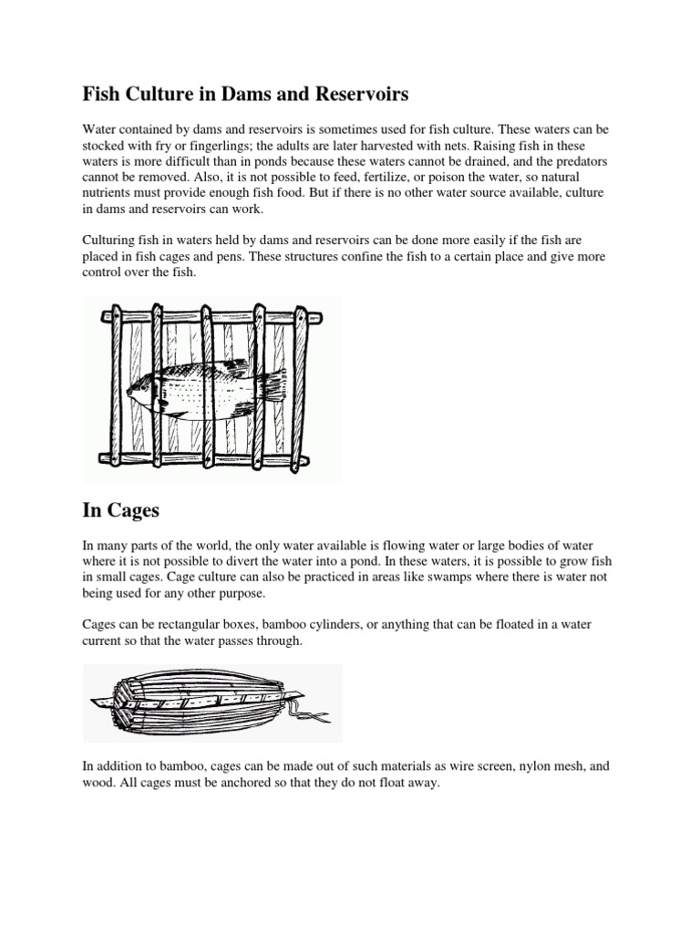 METHODS OF FISH CULTIVATION.2.docx | Paddy Field | Fish