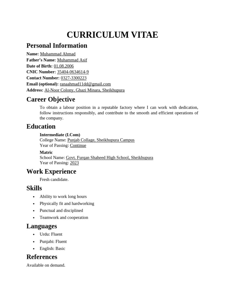 Muhammad Ahmad's CV for Labour Position | PDF