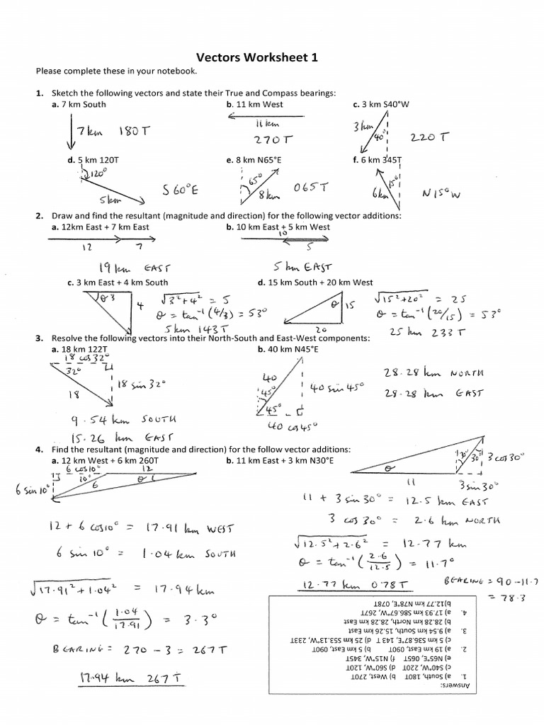 Vector Worksheet 1 Solutions | PDF