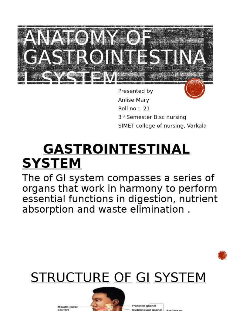 Anatomy of Gi System | PDF | Gastrointestinal Tract | Small Intestine