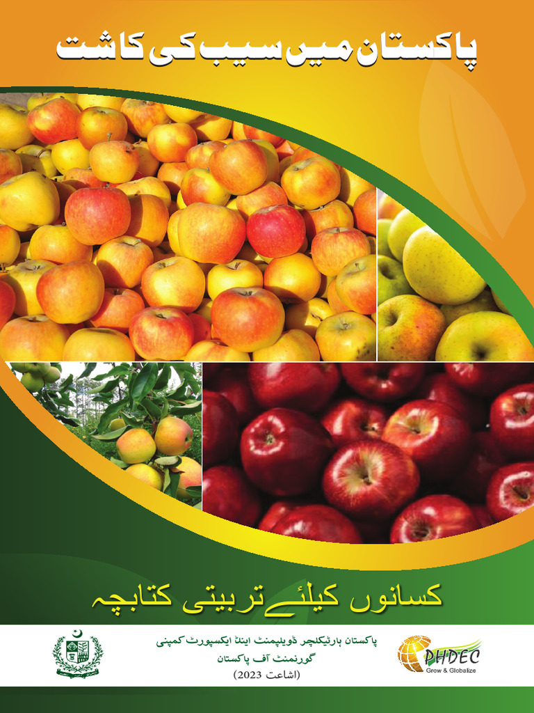 Apple Booklet 1 | PDF