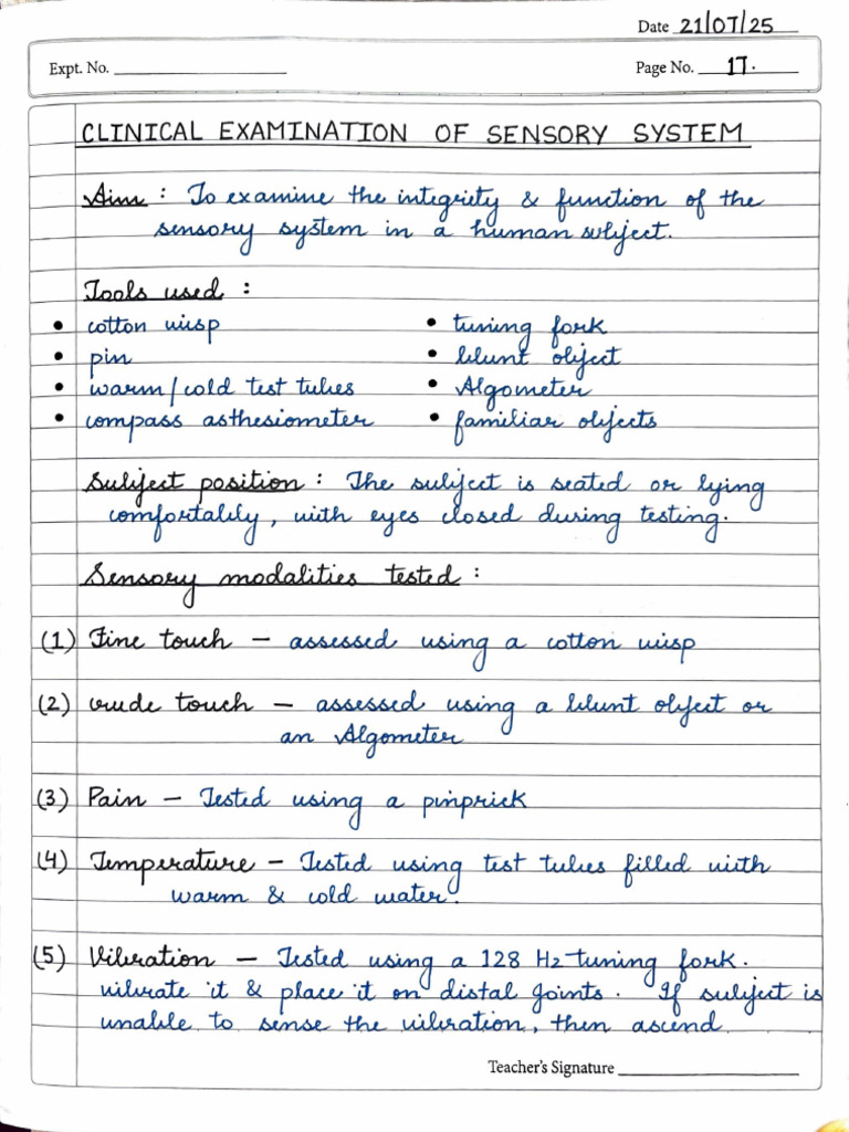 Clinical Examination of Sensory System | PDF