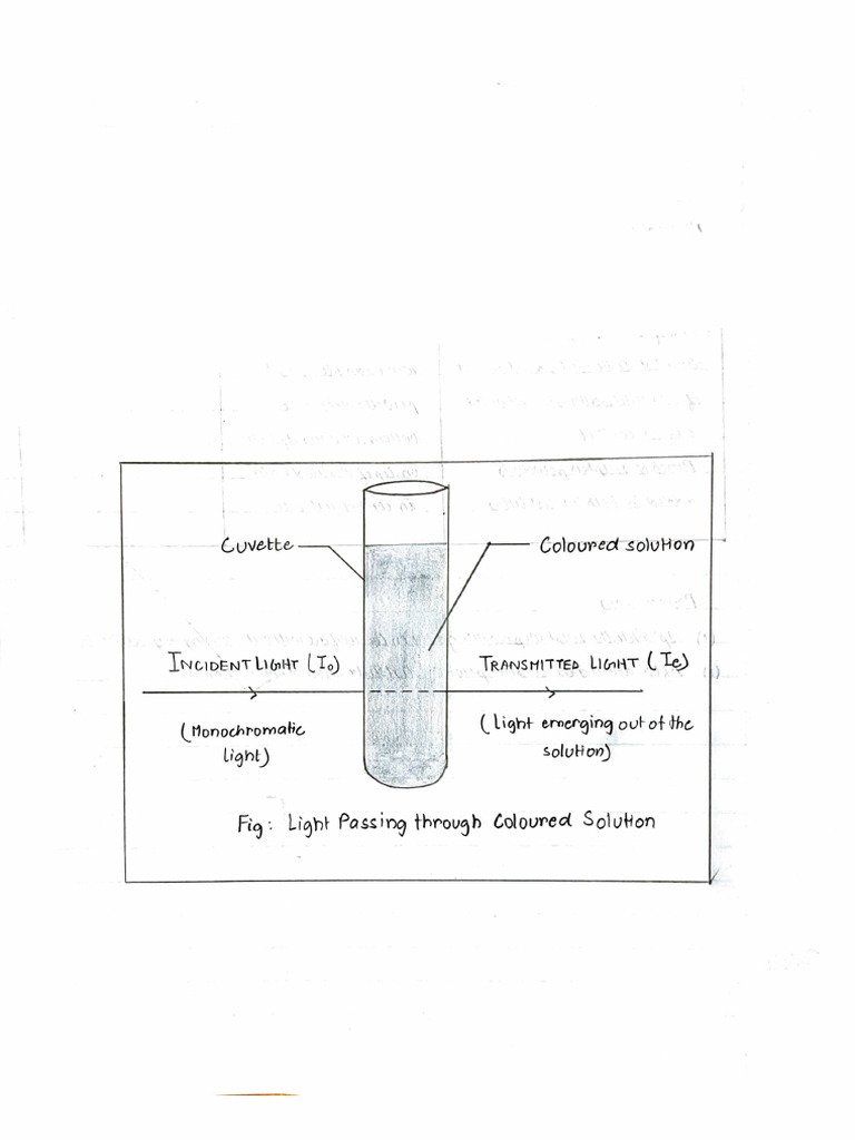 Colored Solution Experiment Guide | PDF