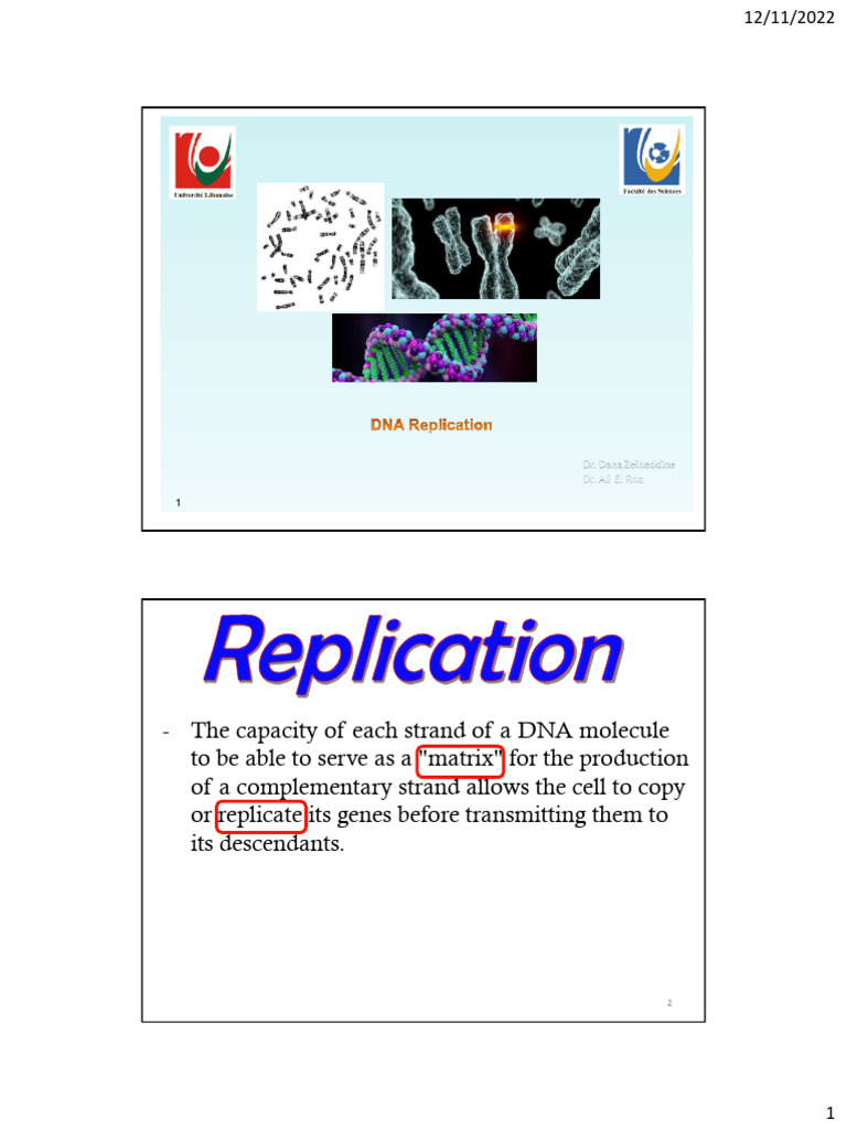 3. DNA Replication | PDF | Dna Replication | Primer (Molecular Biology)
