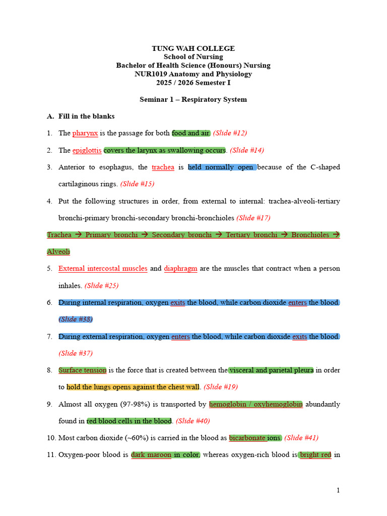 Respiratory System Seminar Notes | PDF | Exhalation | Respiratory System