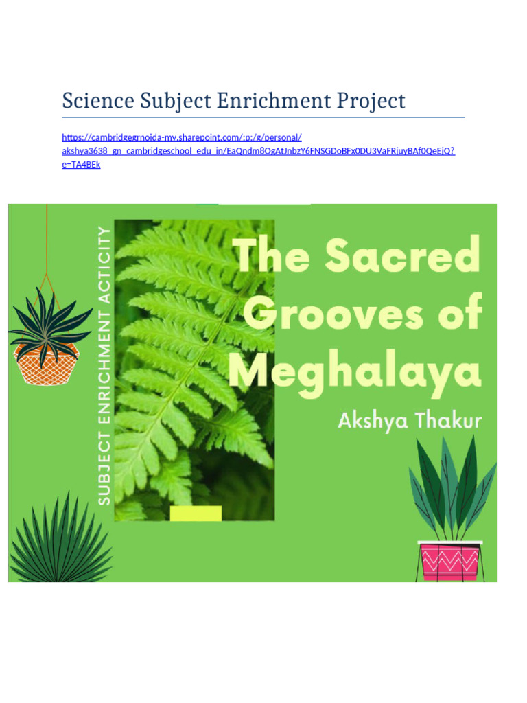 Science Subject Enrichment Project Guide | PDF