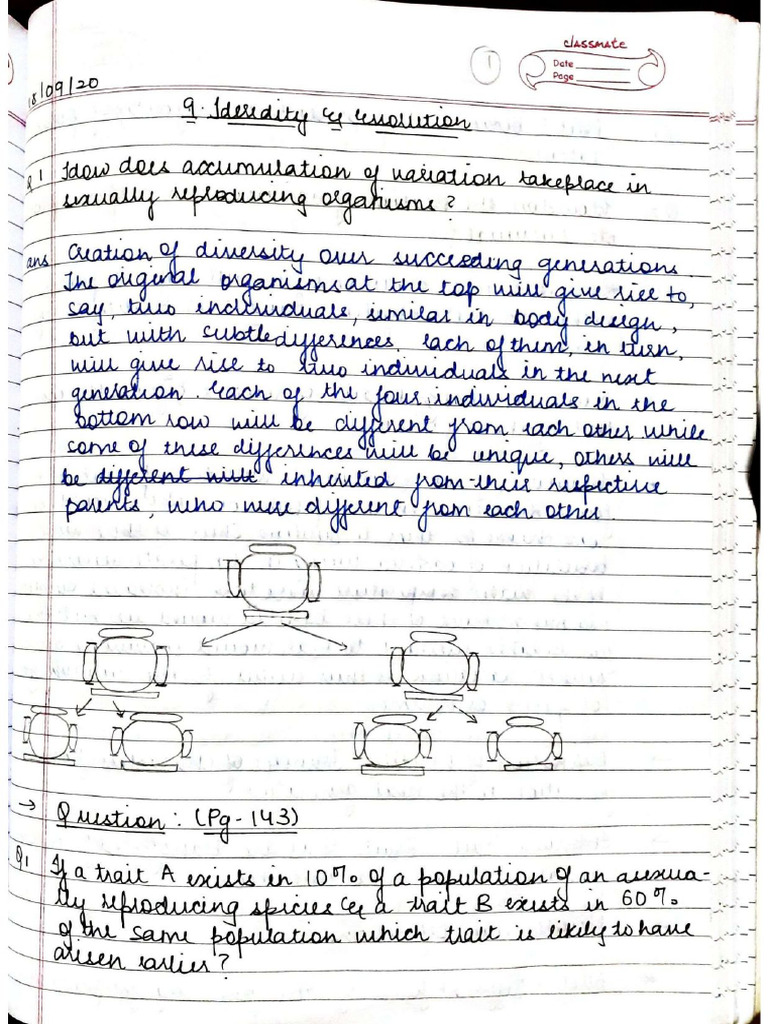 Heredity (Bio) | PDF