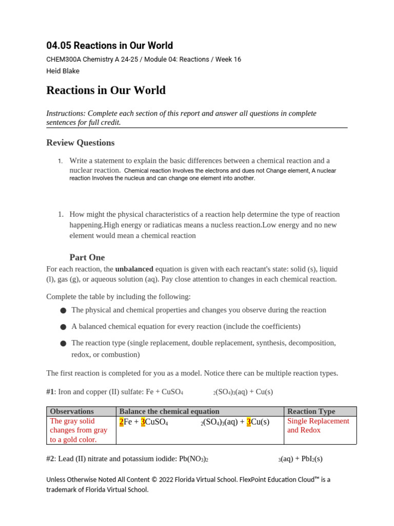 Reactions in Our World Report 2 | PDF | Chemical Reactions | Magnesium