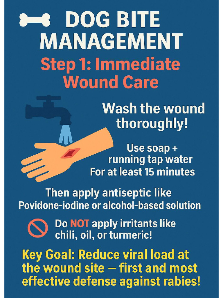 Dog Bite Management PDF | PDF