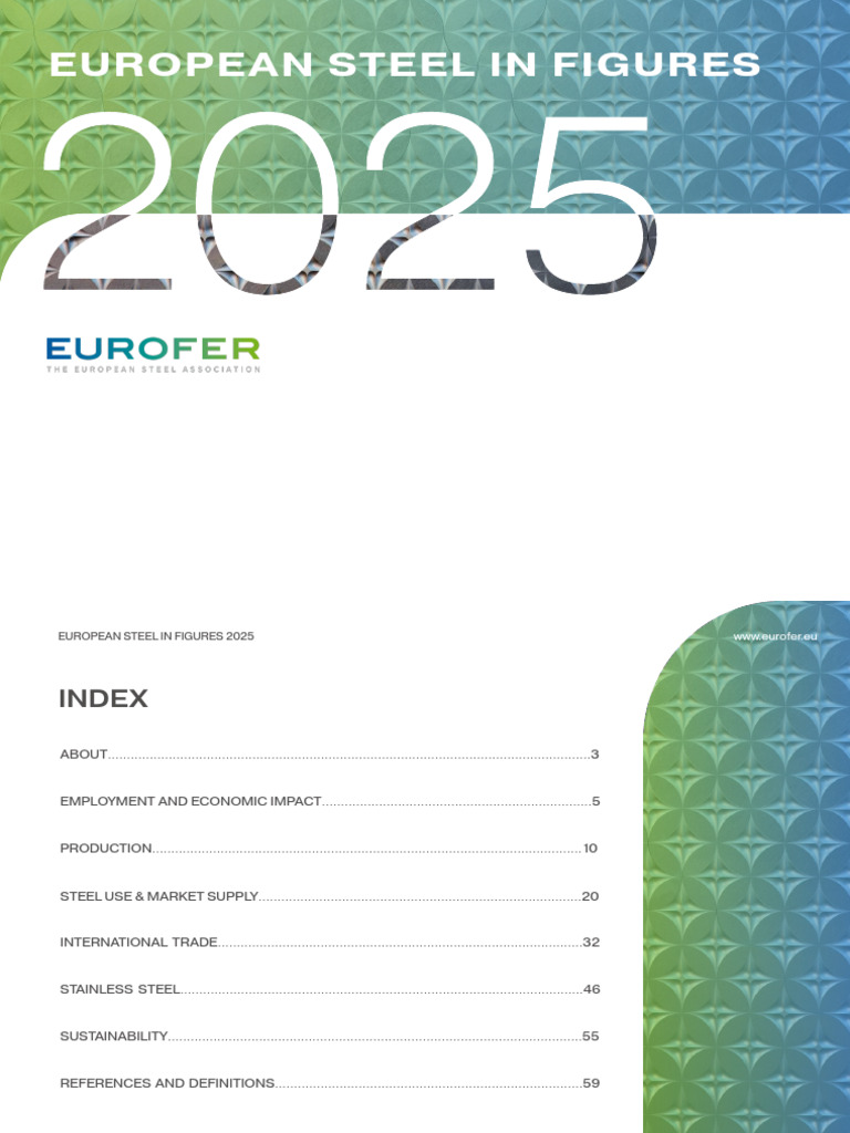 European Steel Industry Overview 2025 | PDF | Steelmaking | Steel