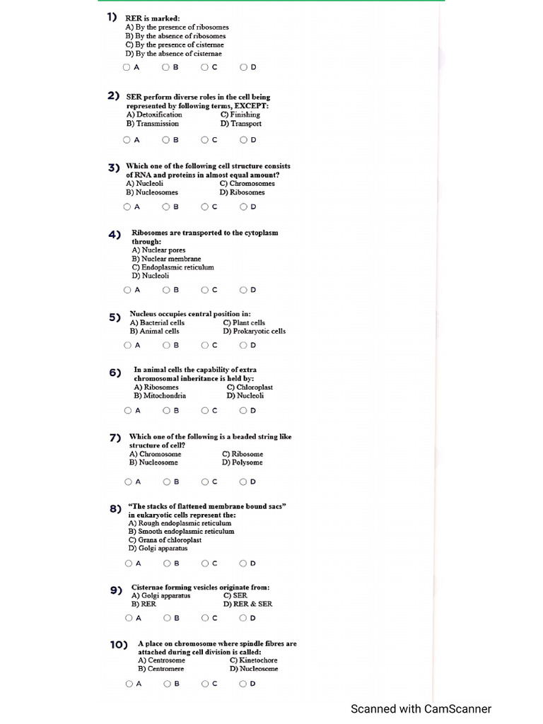 A+ TEST 2 | PDF