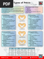 Four Types of Pelvis Explained | PDF | Pelvis | Anatomy