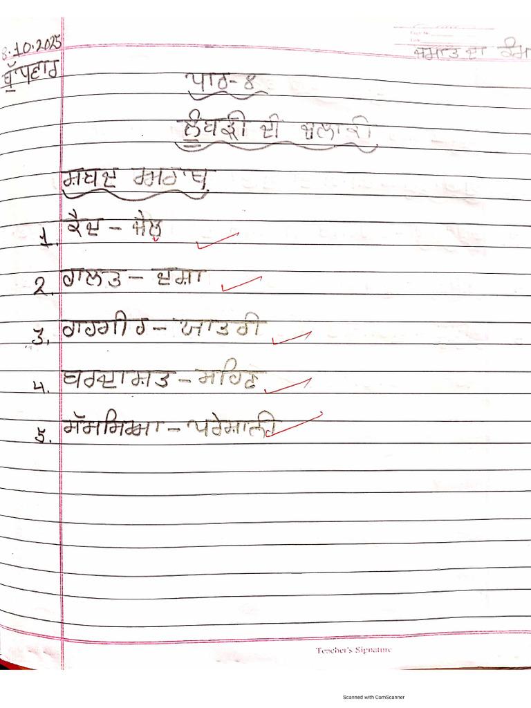 Class 3rd Punjabi | PDF