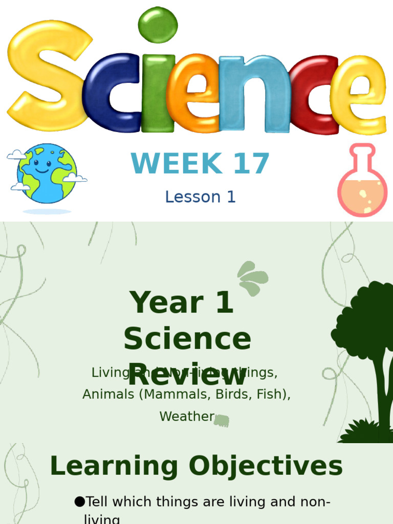 Year 1 Science: Living vs Non-Living | PDF | Mammals | Fish