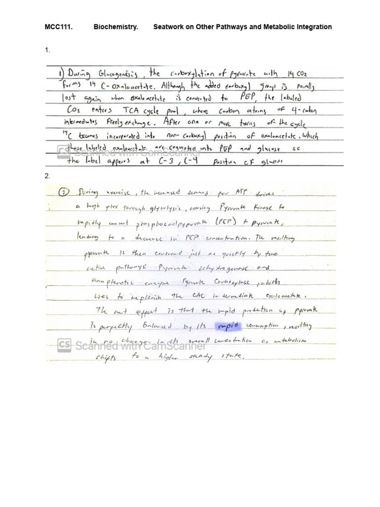 Seatwork On Other Pathways and Metabolic Integration | PDF
