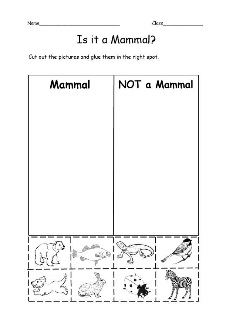 Year 1 - Mammal or Not Sorting Worksheet (Lesson2) 2 | PDF | Fish | Fin