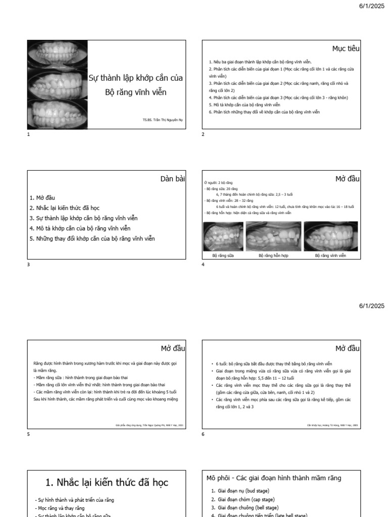 CK1 Bo Rang VV | PDF