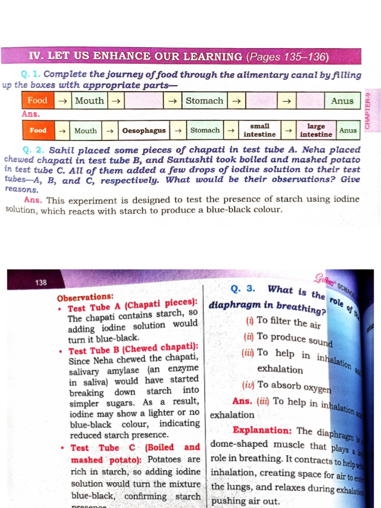 Class 7 Chapter 9 | PDF