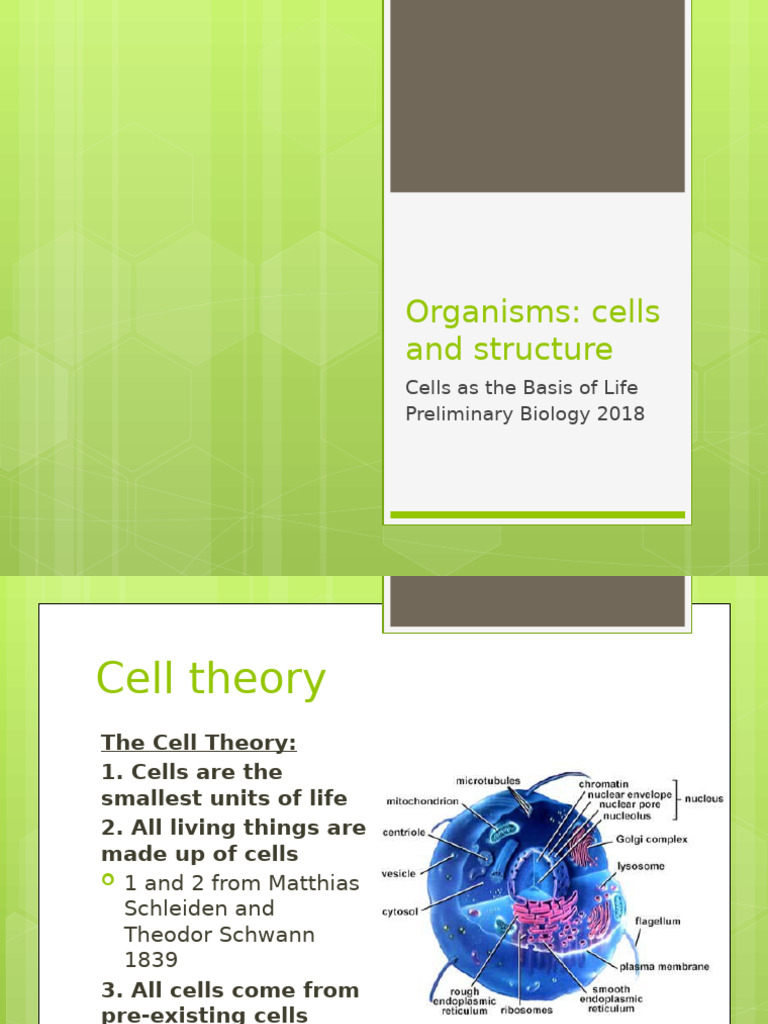 Understanding Cell Theory and Structure | PDF | Microscope | Cell (Biology)