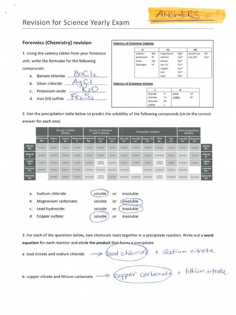 Revision Questions Yearly - ANSWERS (Updated For p4 Errors) | PDF