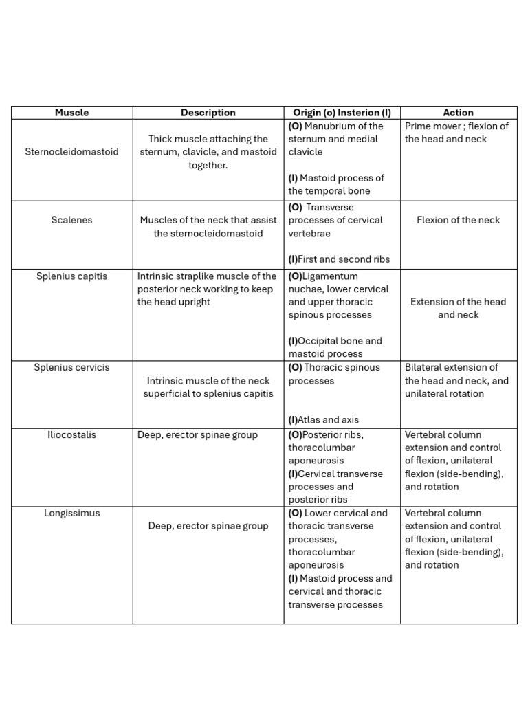 Neck and Spine Muscle Functions | PDF | Vertebra | Primate Anatomy