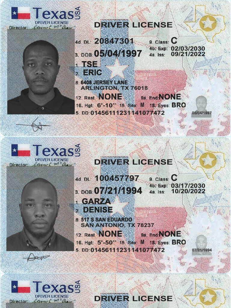 Texas Driver License Information | PDF