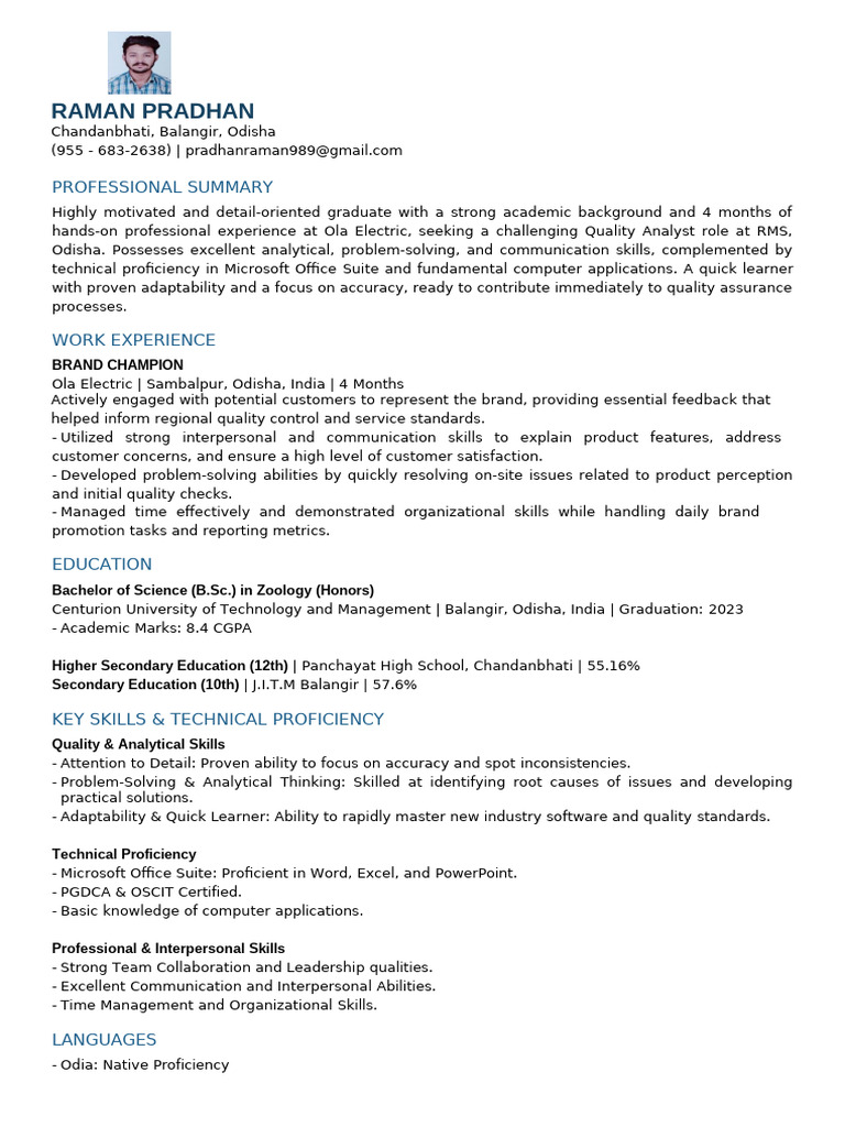 Raman Pradhan Resume Modern | PDF