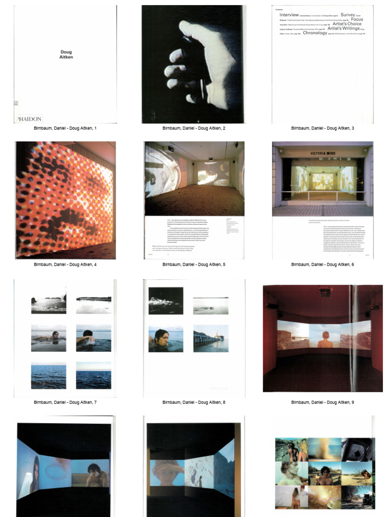 Doug Aitken Works by Daniel Birnbaum | PDF