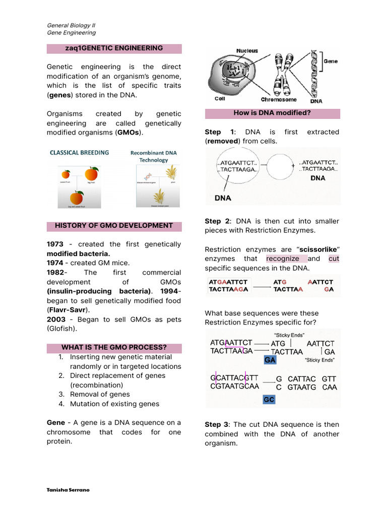 BIO REVIEWER Gene Engineering | PDF | Genetically Modified Organism | Dna