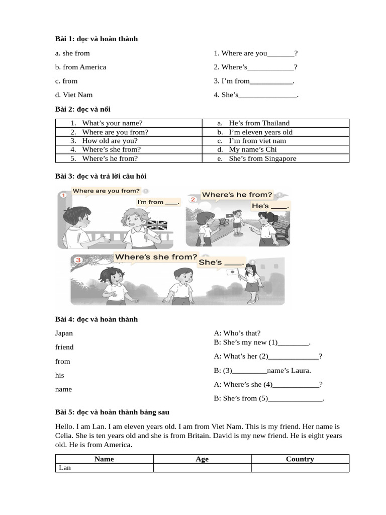 English Language Exercises for Beginners | PDF