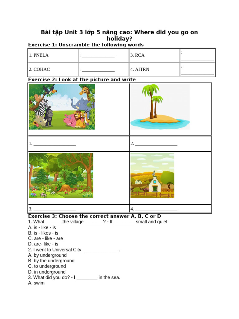Unit 3 Grade 5 Advanced Exercises | PDF | Vietnam