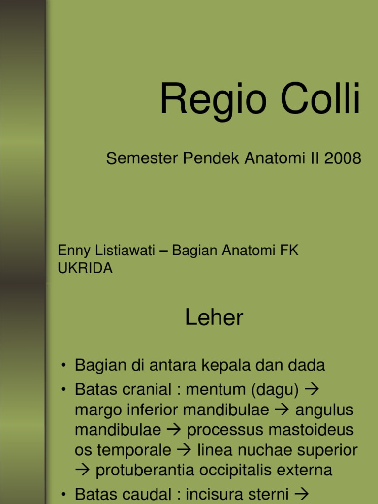 Regio Coli | PDF