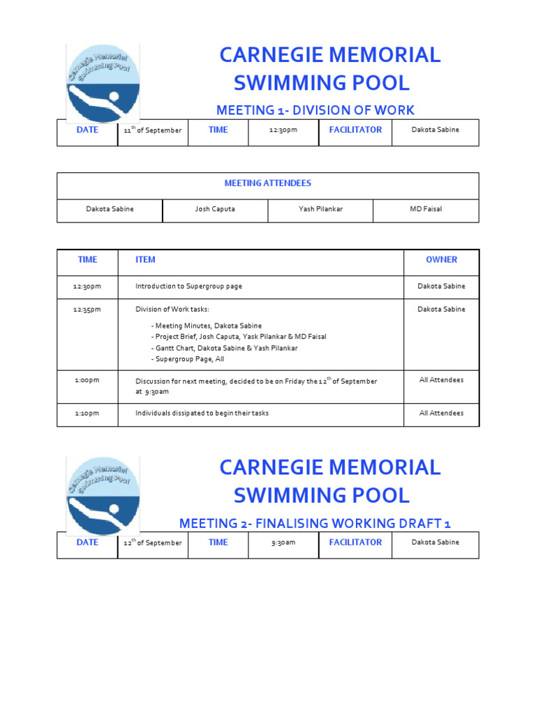 Carnegie Memorial Pool Meeting Notes | PDF | Expense | Equity (Finance)