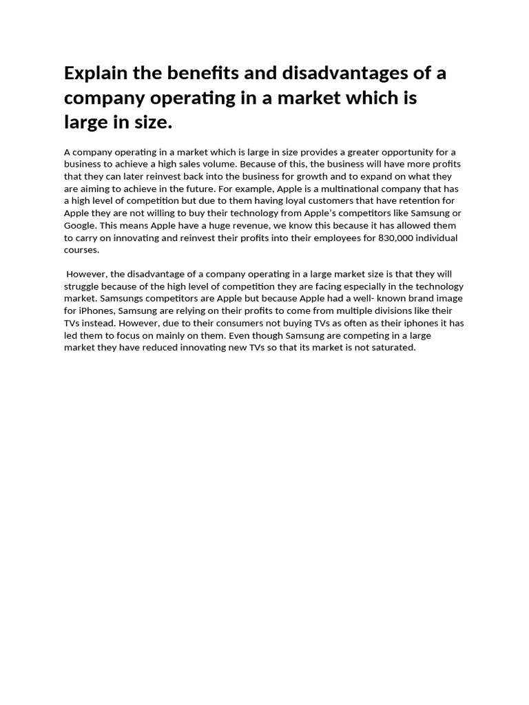 Benefits and Drawbacks of Large Market Size | PDF