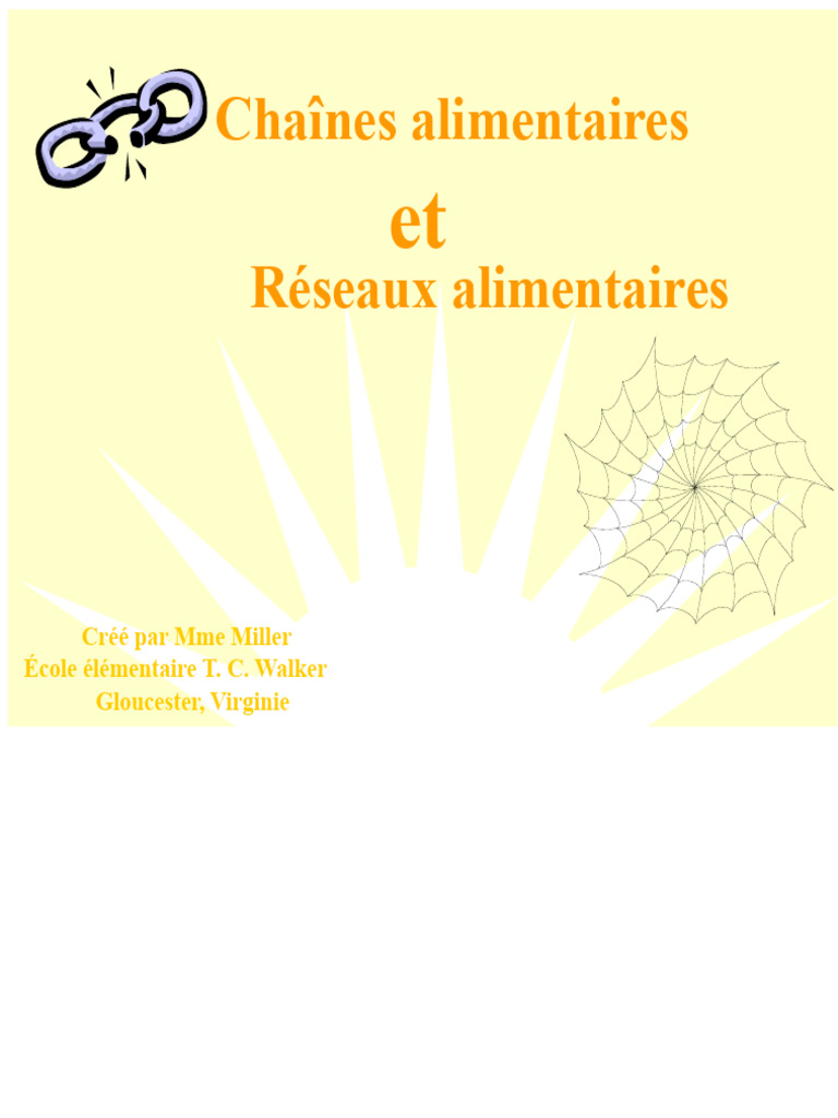 Comprendre les chaînes alimentaires et réseaux | PDF