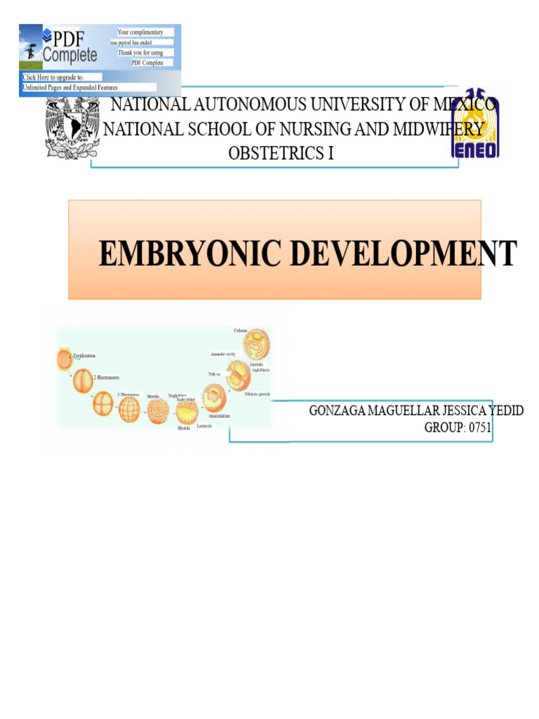 embryonic development | PDF | Developmental Biology | Anatomy