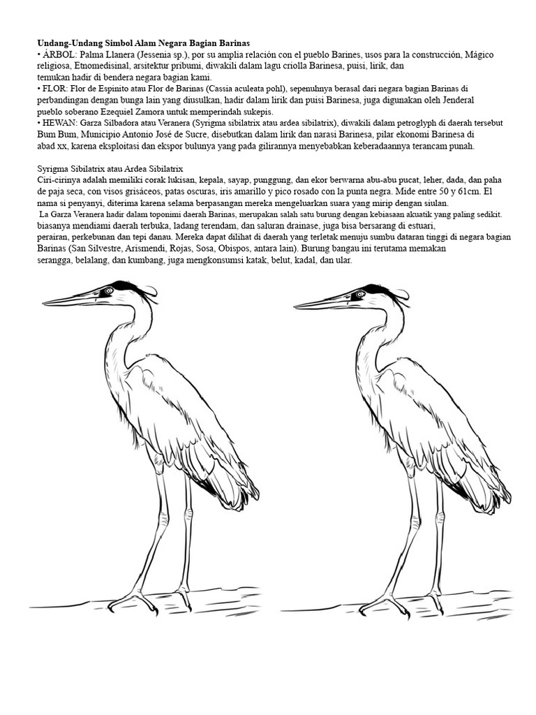 Simbol Alam Negara Bagian Barinas | PDF