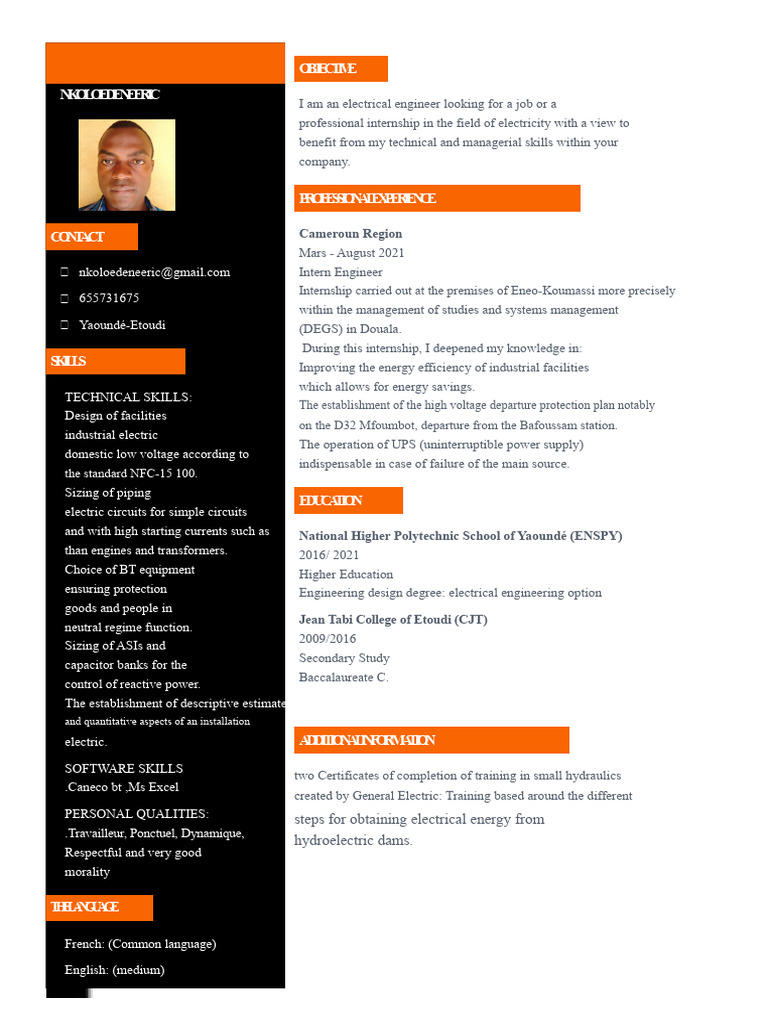 CV_Nkolo Edene Eric | PDF | Power (Physics) | Electricity