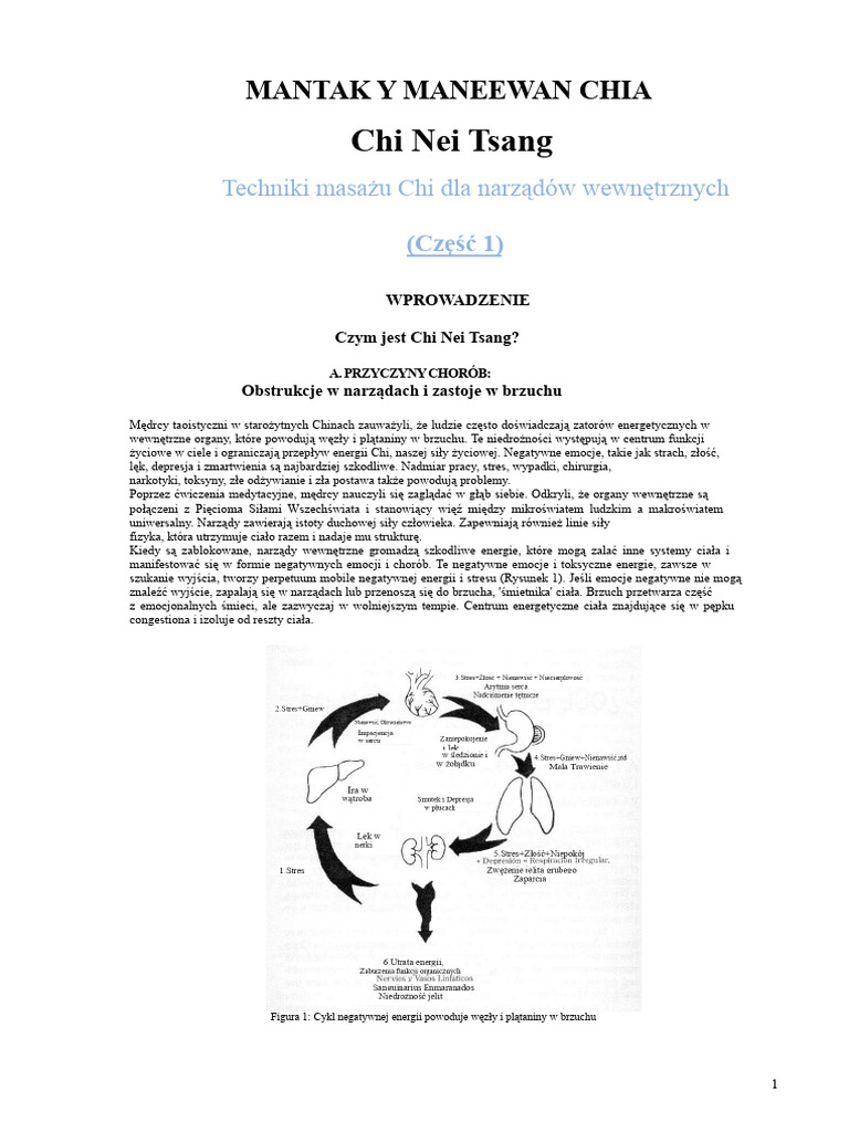 Chi Nei Tsang 1 - Masaż Chi Dla Organów Wewnętrznych 46s PDF | PDF