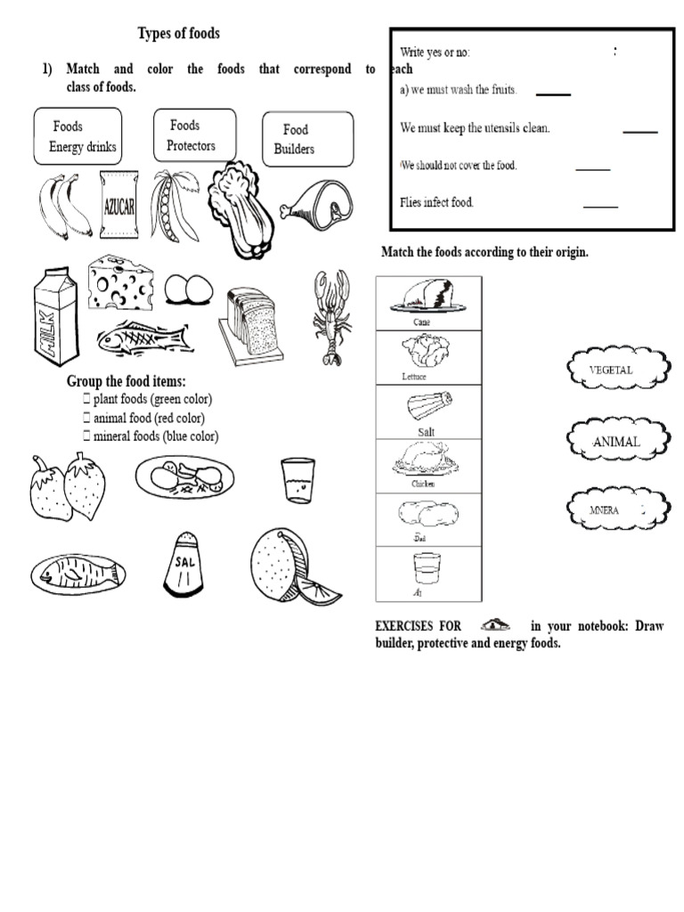 Sheet 4 Types of Foods | PDF