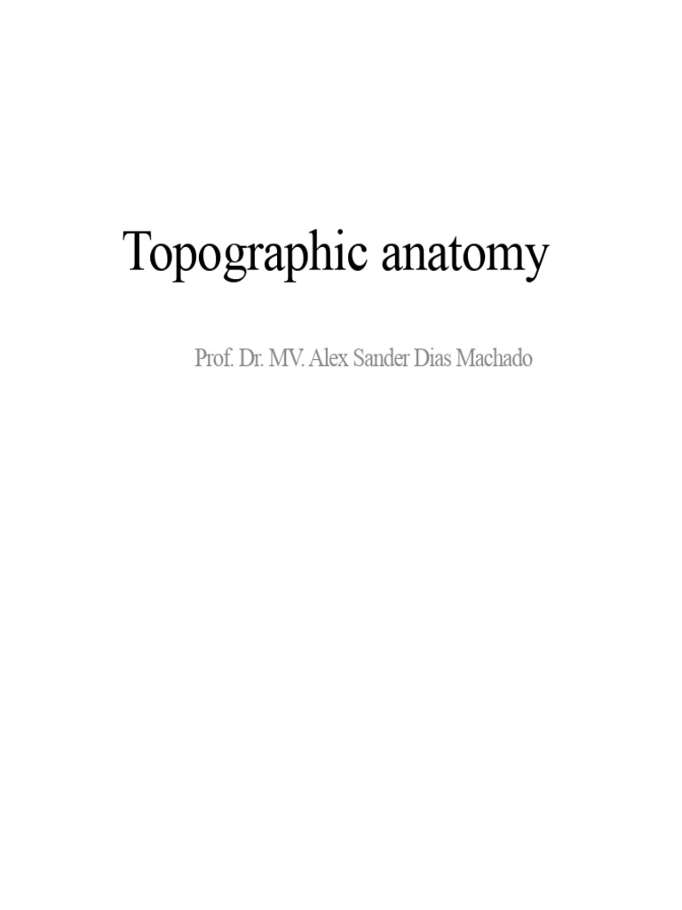 Topographic Anatomy CONCEPTS | PDF | Anatomical Terms Of Location | Anatomy